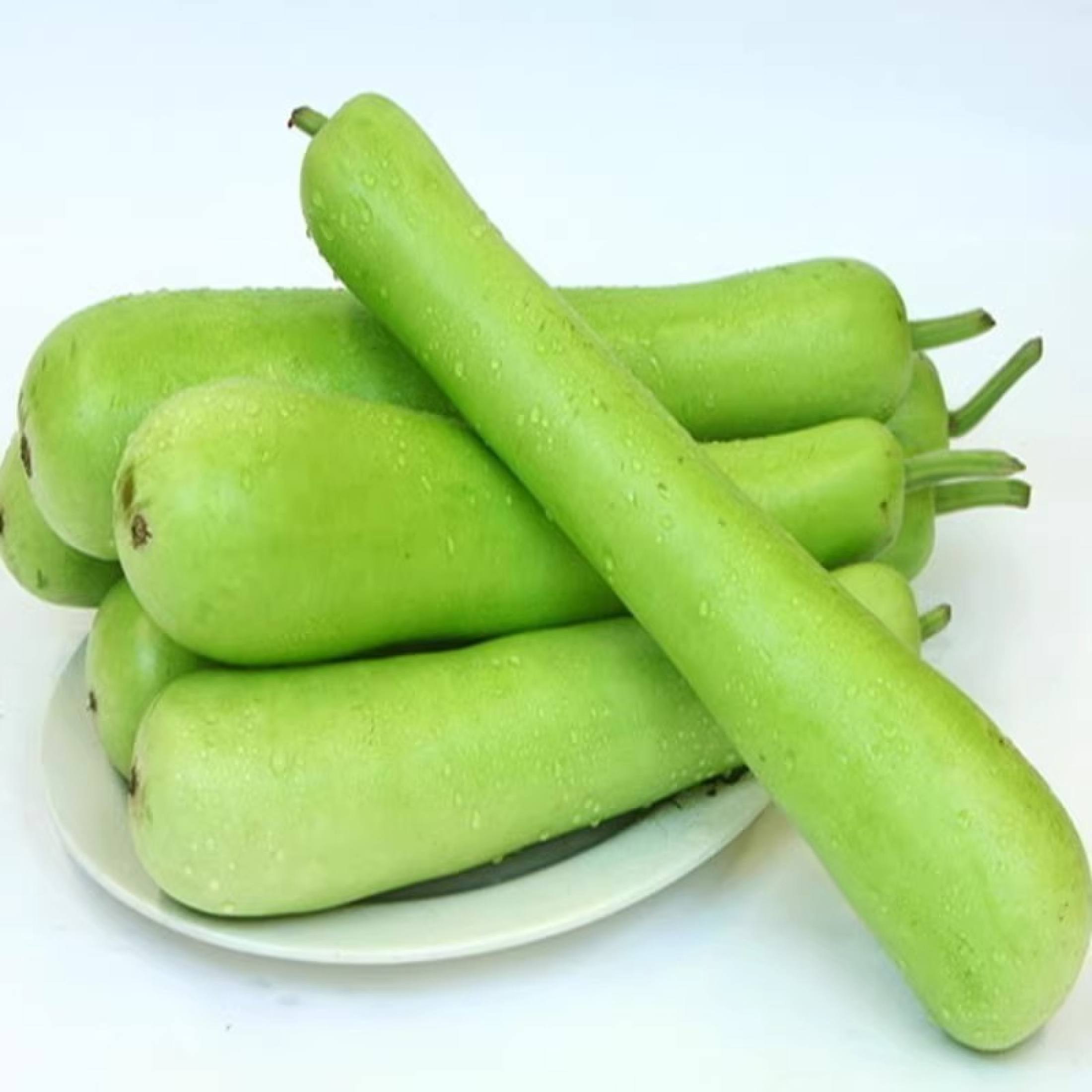 Long Bottle Gourd Seeds-25 Seeds Giant Long Variety Loofah Sponge Gourd ...