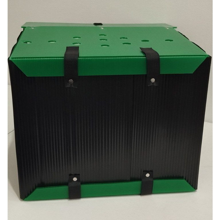 Double plastic derby box carrier cage/travel box / Kulungan ng manok ...