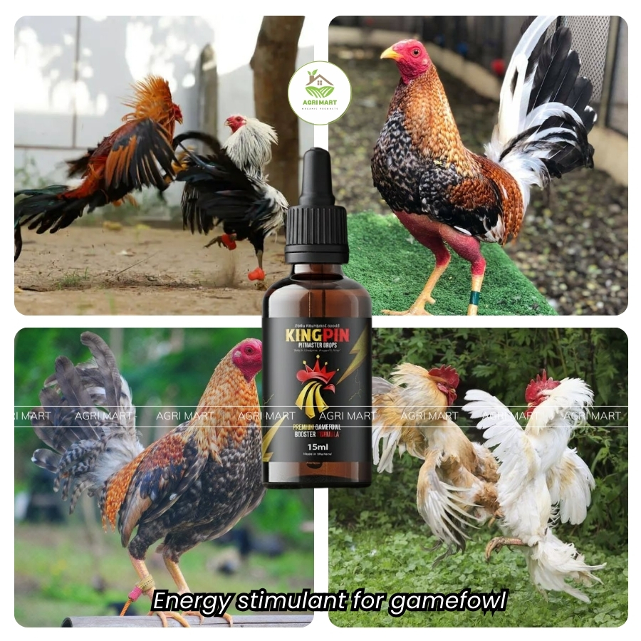 [NEW] KingPin 15ml – Enhance Stamina, Muscle Strength & Recovery for ...