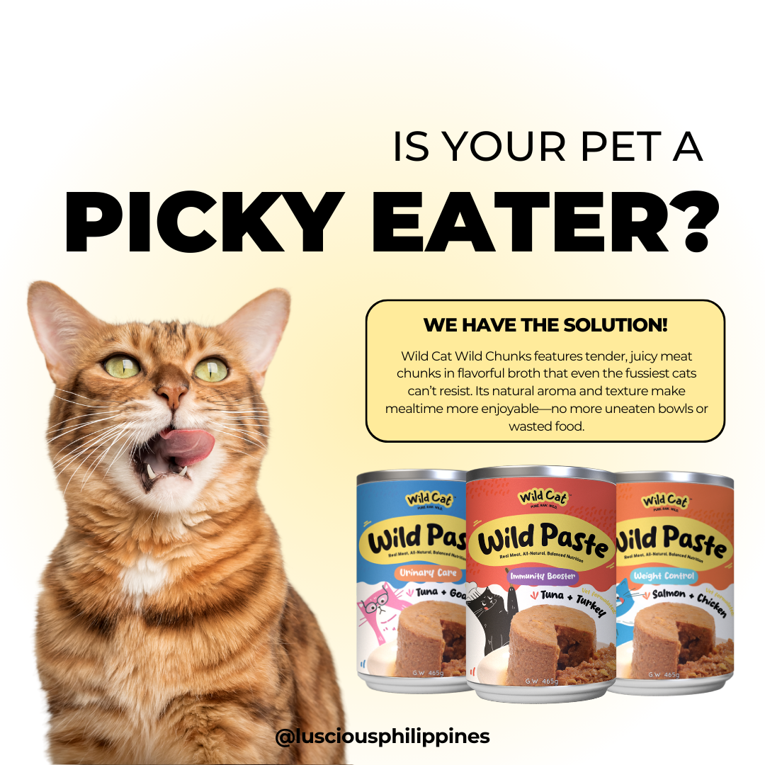 Wild Cat Premium Wild Paste Cat Wet Food Can Organic Cat Wet Food Meal ...