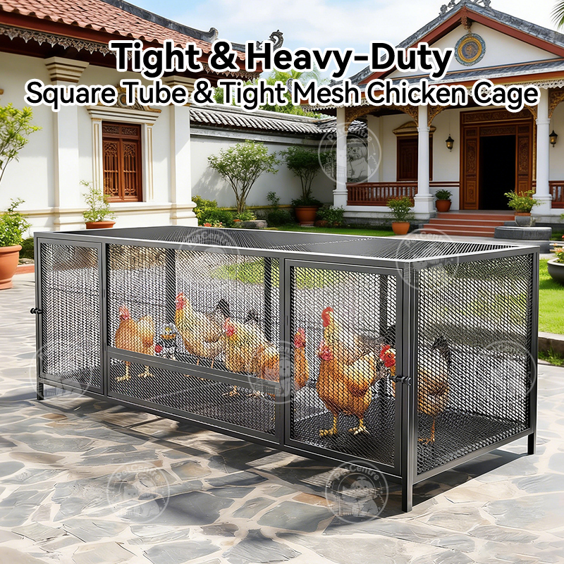 Chicken cage for laying egg chicken cage assemble chicken coop ...