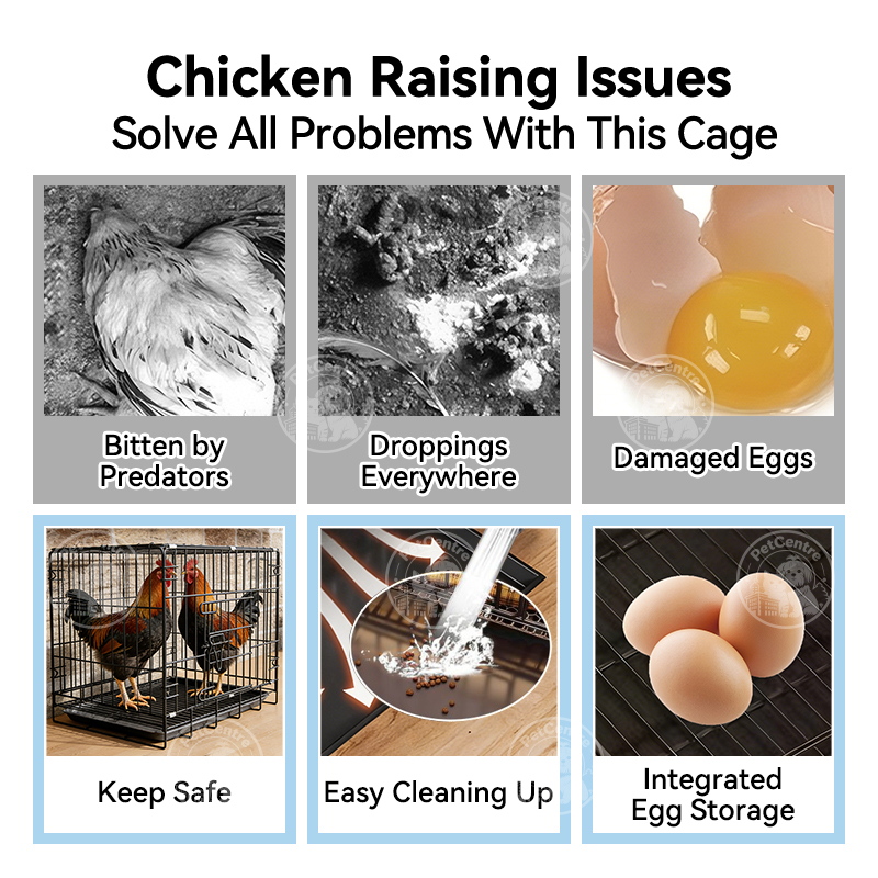 Chicken cage for laying egg chicken cage assemble chicken coop ...