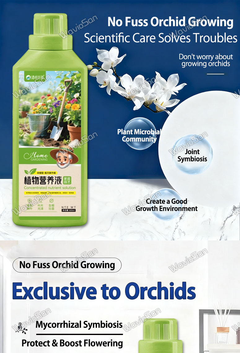 Orchid Nutrient Orchid Fertilizer Solution for Weak Leaves & No Flowers ...