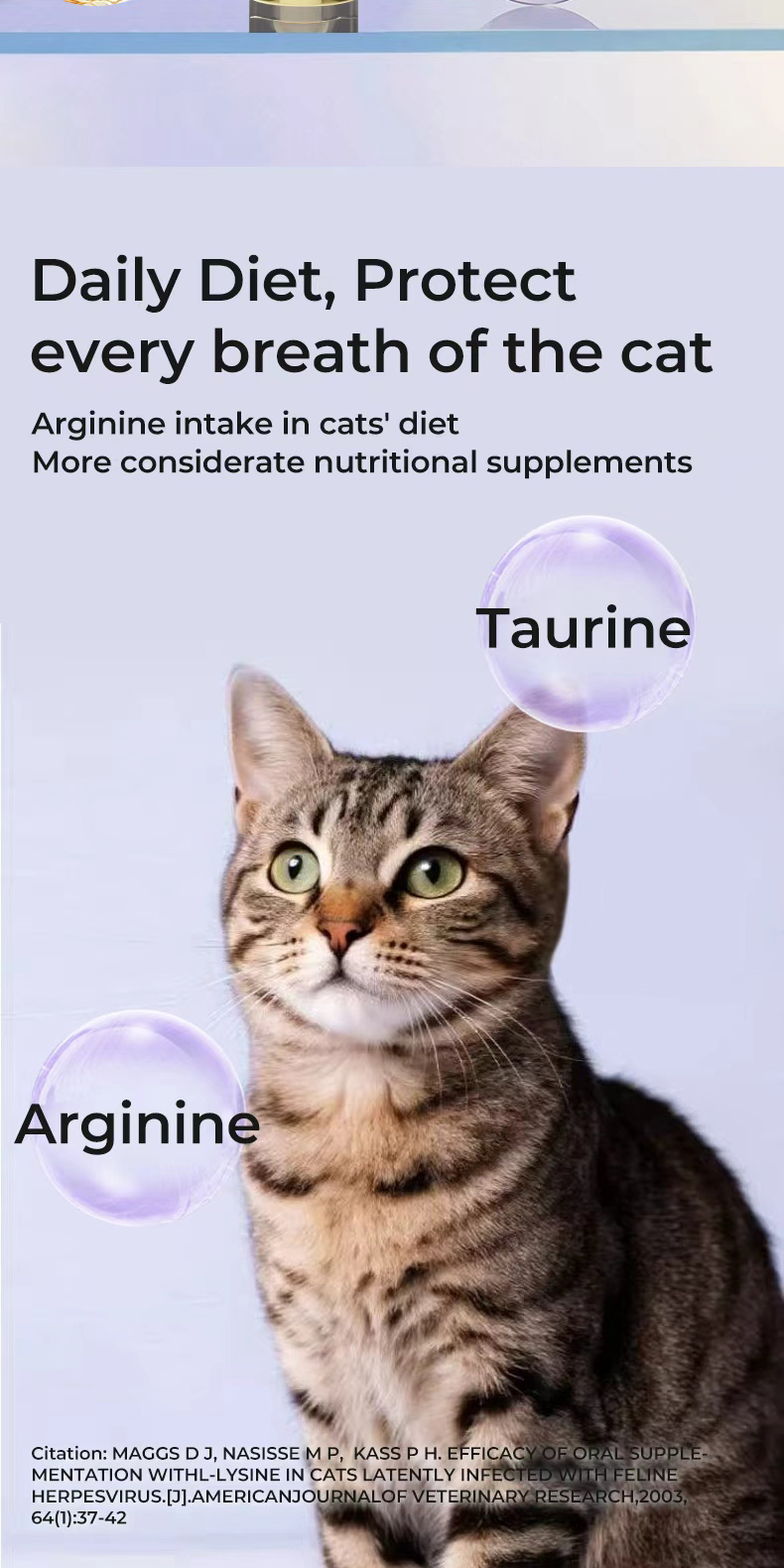 Petclear 120g Cat Lysine Nutrition Cream - Feline Supplement for Immune ...