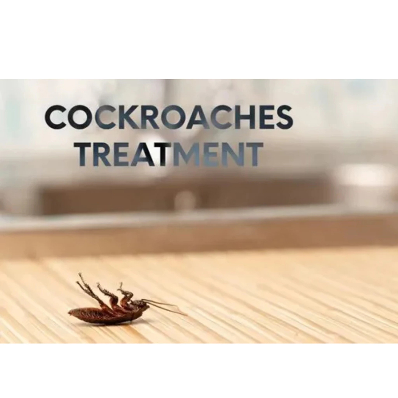 Hot Selling Advion 30g Cockroach Gel Bait with Indoxacarb for High ...