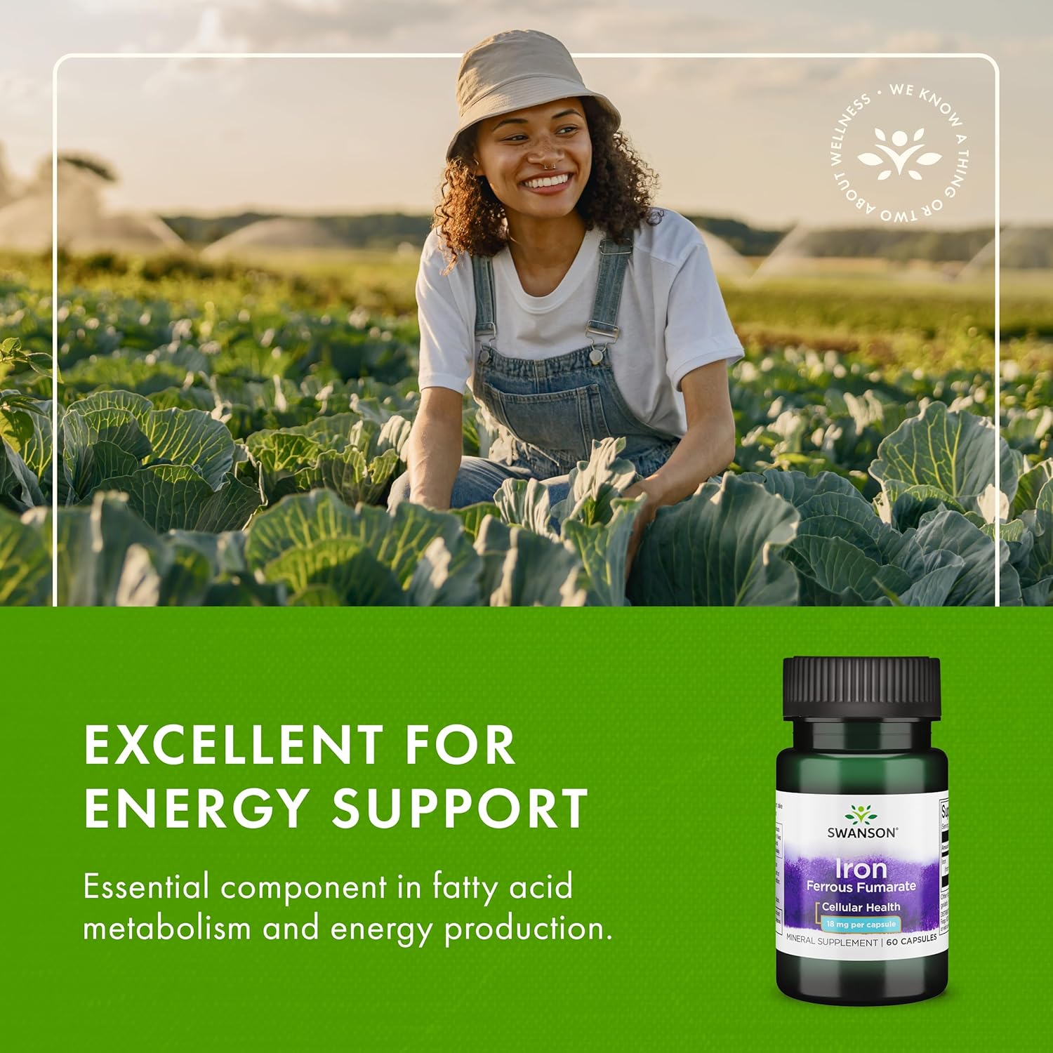 Healthily You | Swanson, Iron Ferrous Fumarate, 18 mg, 60 Capsules ...