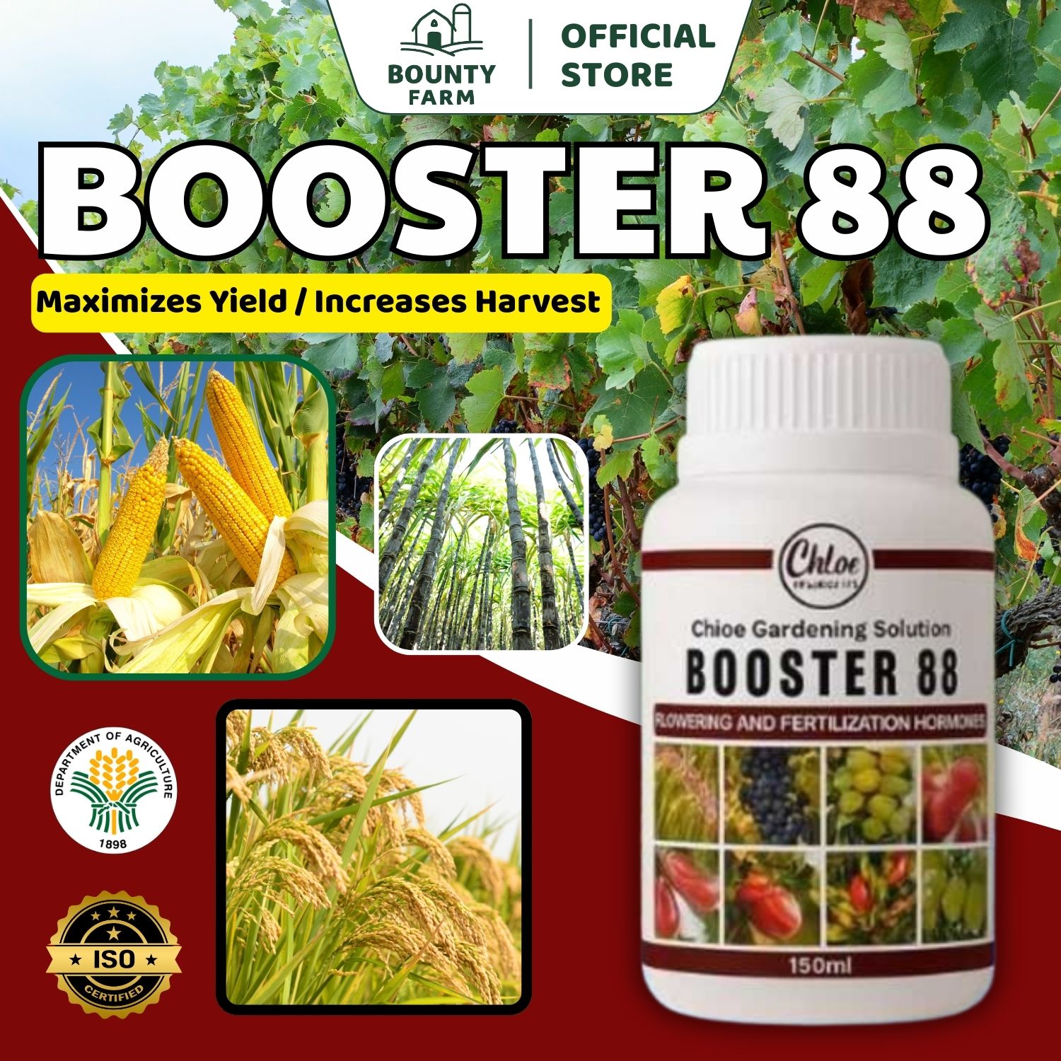 Booster 88–Organic Fertilizer for Plantations, Strong Flowering, Heavy ...