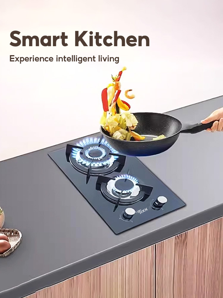 Tixx Built-In Vertical Gas stove Doublu Burner Save space With Tempered ...
