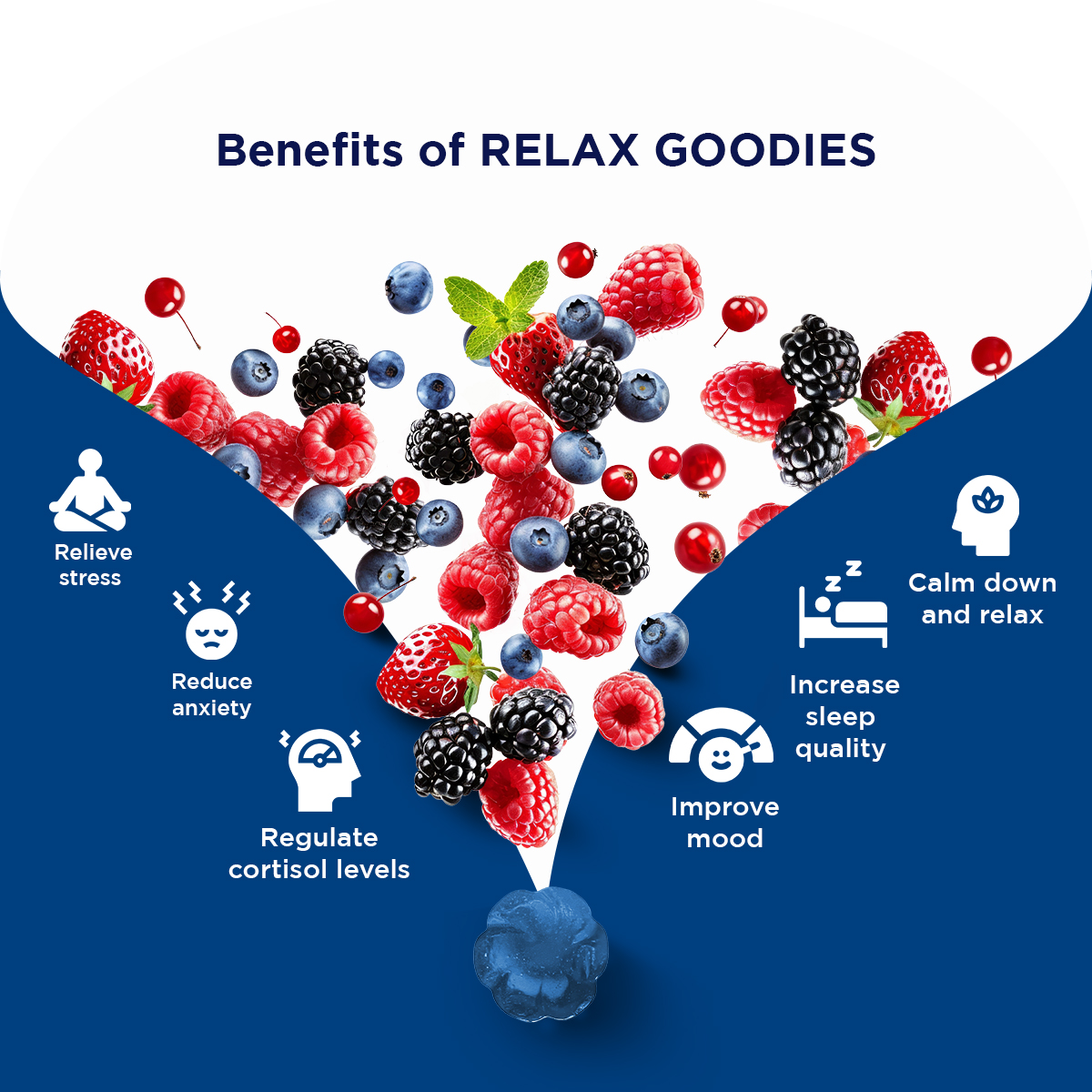 GOODIES NUTRITION Ashwagandha Gummies – 1 bottle (60) – For Mood ...