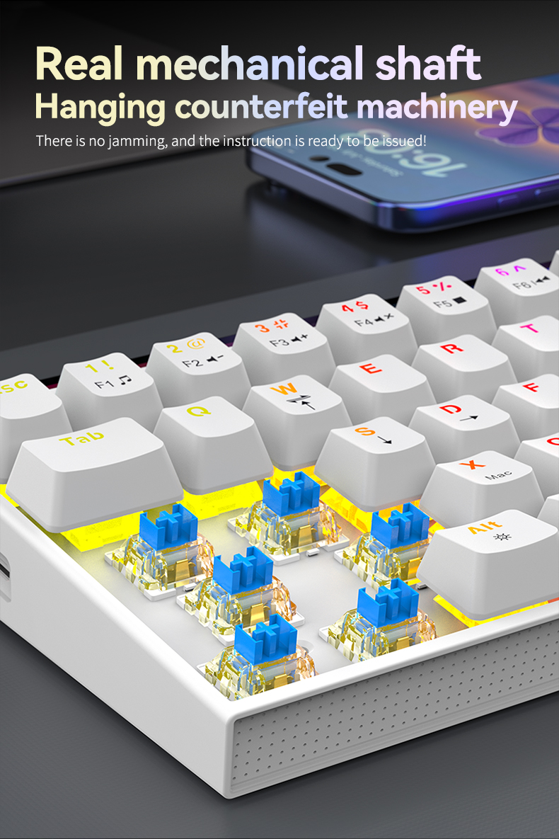 Zeus x Raiku GK68 68Keys RGB Wired Mechanical Gaming Keyboard Compact ...