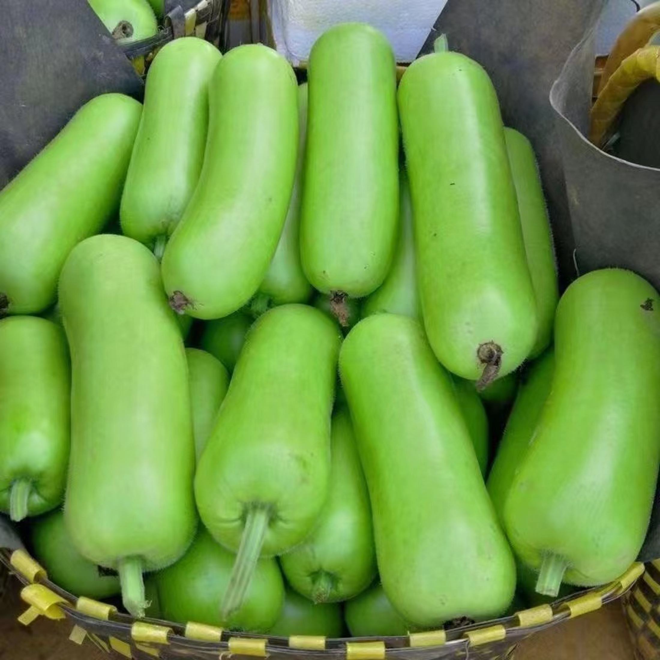 UPO SEEDS ( 25seeds ) - Bottle Gourd Vegetable Seeds | Shopee Philippines
