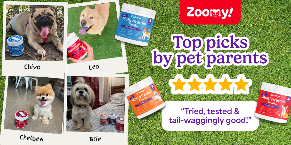 Zoomy! Freeze Dried Beef Liver Munchies | Real Meat High Protein Smart ...