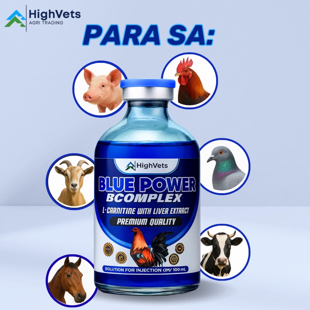 Blue Power B Complex with L CARNITINE and Liver Extract,Gamefowl ...