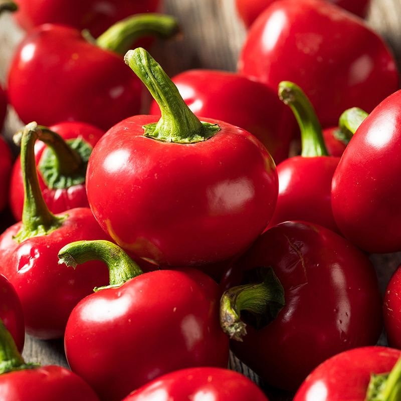 100 Hot Pepper Seeds Chili Pepper Seeds- Habanero. Jalapeno | Shopee ...