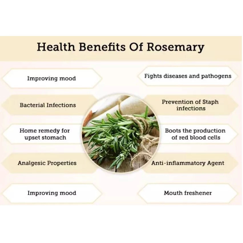 Rosemary / Dried Rosemary / Domero 50 GRAMS, 100 GRAMS , 250 grams, 500 ...
