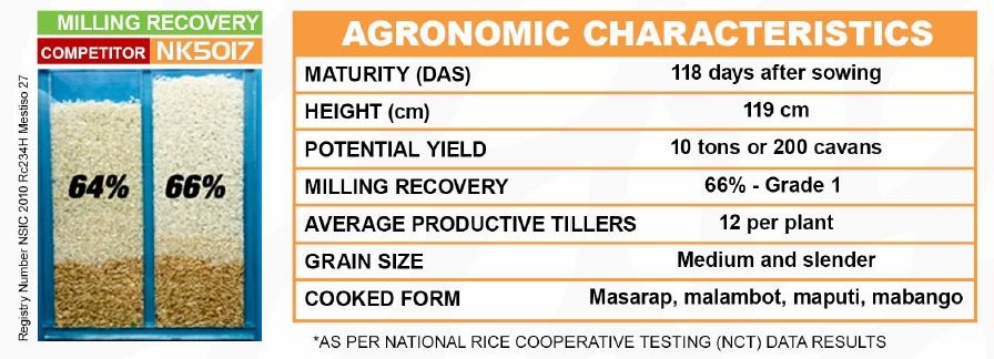 Syngenta NK 5017 Hybrid Rice Seeds NSIC RC234H (3kg) | Shopee Philippines