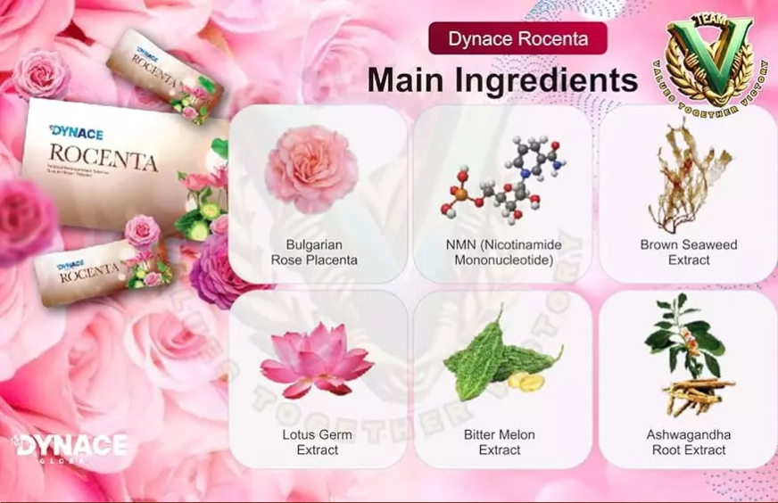 Dynace Global Rocenta 1Pack/15Sachets | Shopee Philippines
