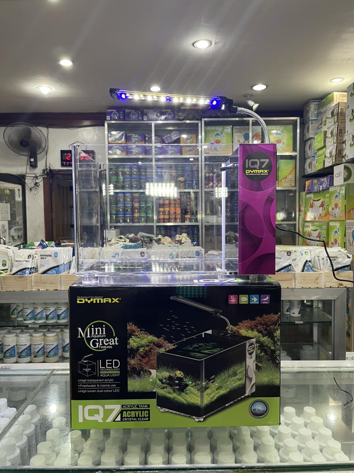 DYMAX IQ7 Acrylic Aquarium with Light and Filter | Shopee Philippines