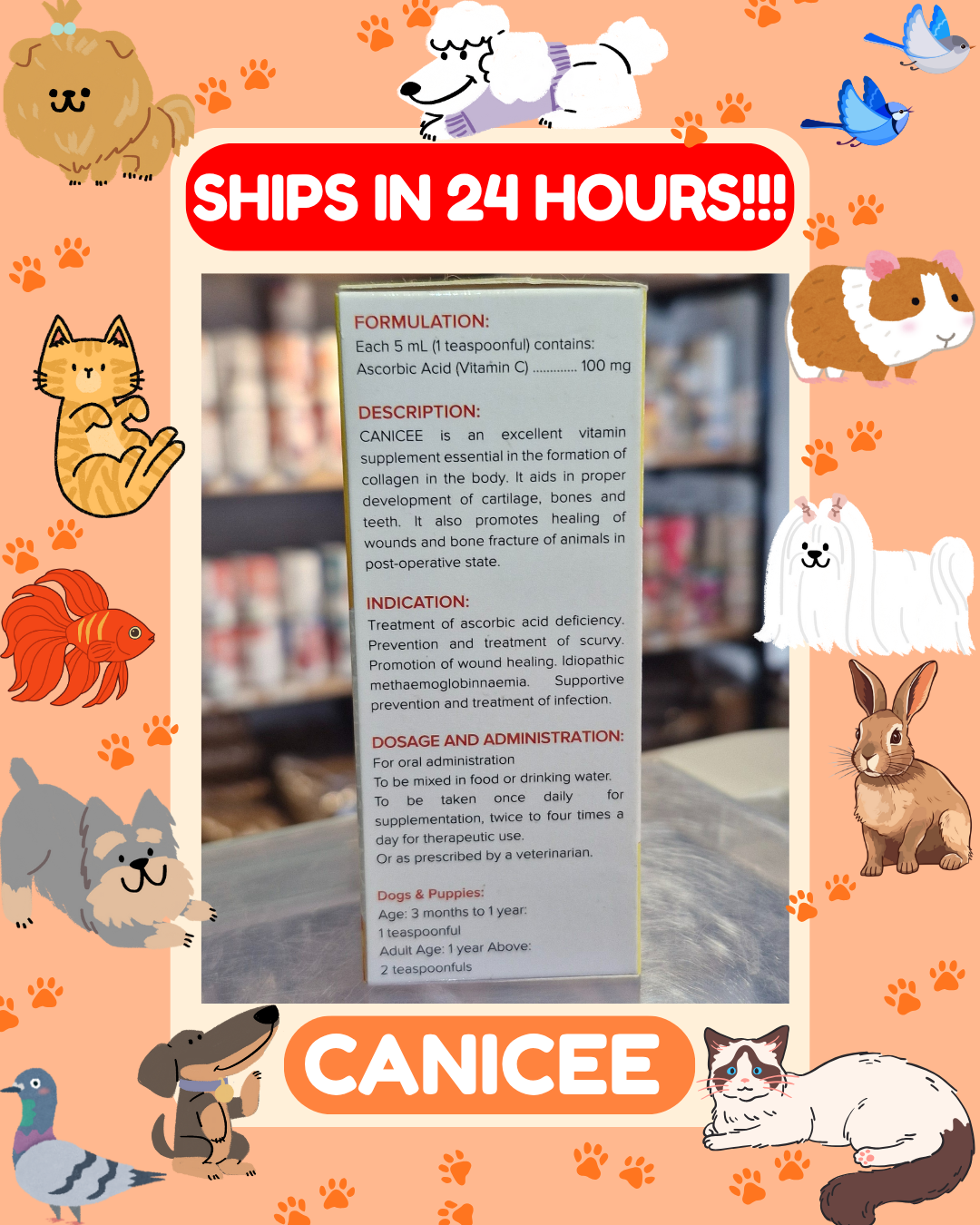 Canicee 60ml - Ascorbic Acid For Dogs And Cats - PetSure FurC Prefolic ...