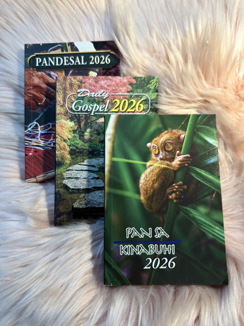 2026 Daily Gospel Pandesal Pan sa Kinabuhi Readings and Rlection 4 x 5. ...