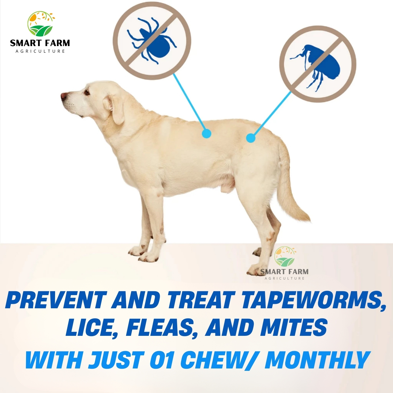 [DISCOUNT] NexGard & NexGard Spectra - All-in-One Flea & Tick Treatment ...