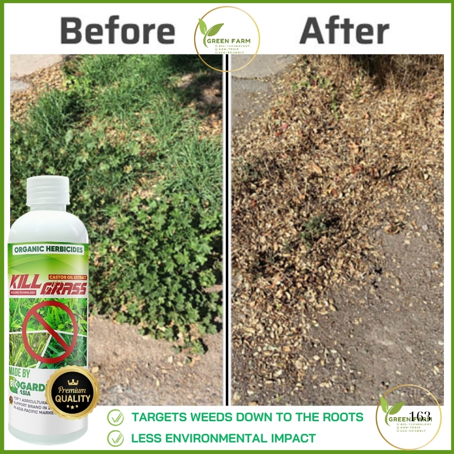 Kill Grass Herbicide – Fast-Acting Organic Weed Killer for Garden ...