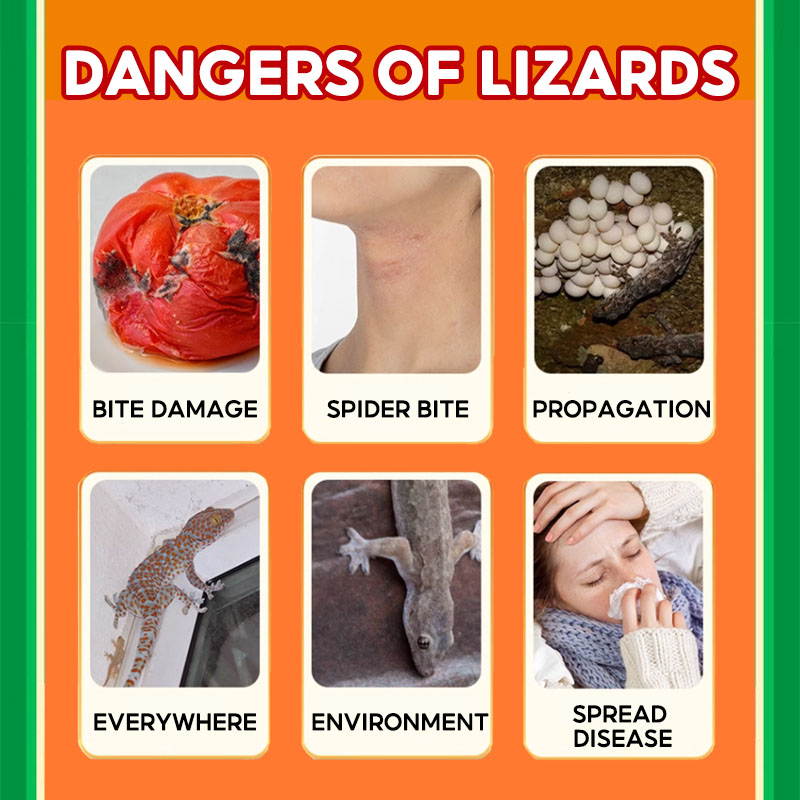 SM Lzard killer lizard repellent lizard repellent gecko killer | Shopee ...