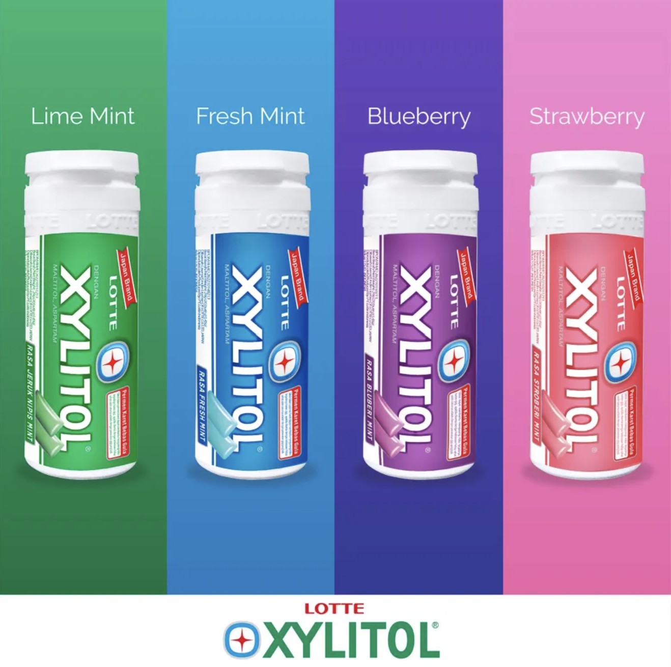 Lotte Xylitol Tube Bottle Chewing Gum Lime Blueberry Strawberry Mint ...