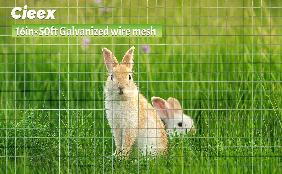 100m/50m Galvanized Welded Wire Mesh 1/2inch Rust Prevention Chicken ...