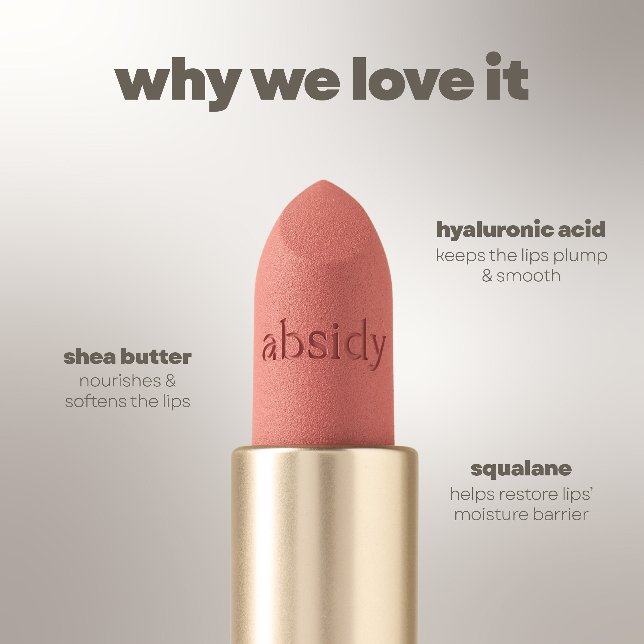 Absidy Cashmere Kiss Matte Lipstick Set 11-Shades Bundle | Shopee ...