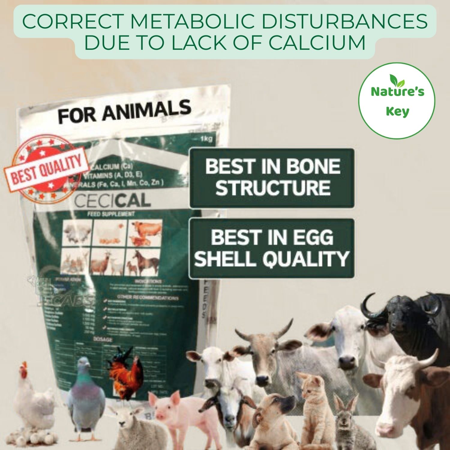 1Kg Cecical Powder Calcium Feed Additive Vitamin & Minerals For Animals ...