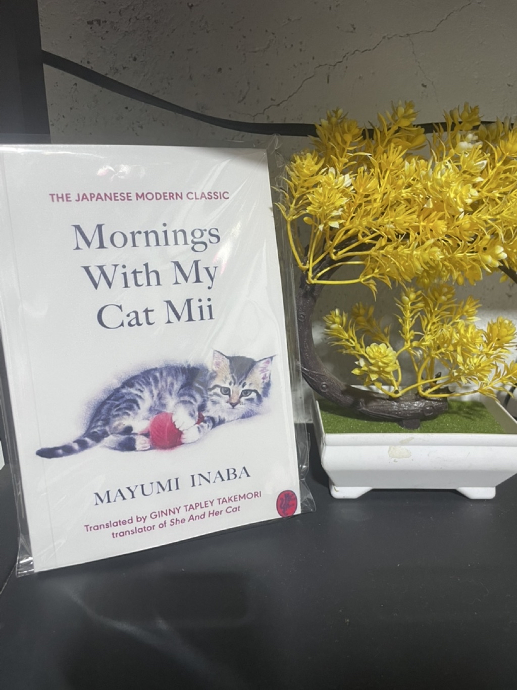 Mornings without mii and Mornings with my cat mii by Mayumi inaba ...