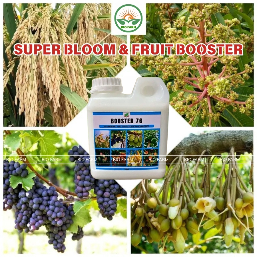 Booster 76 (500ml) Organic Fertilizer for Plantations, Strong Flowering ...