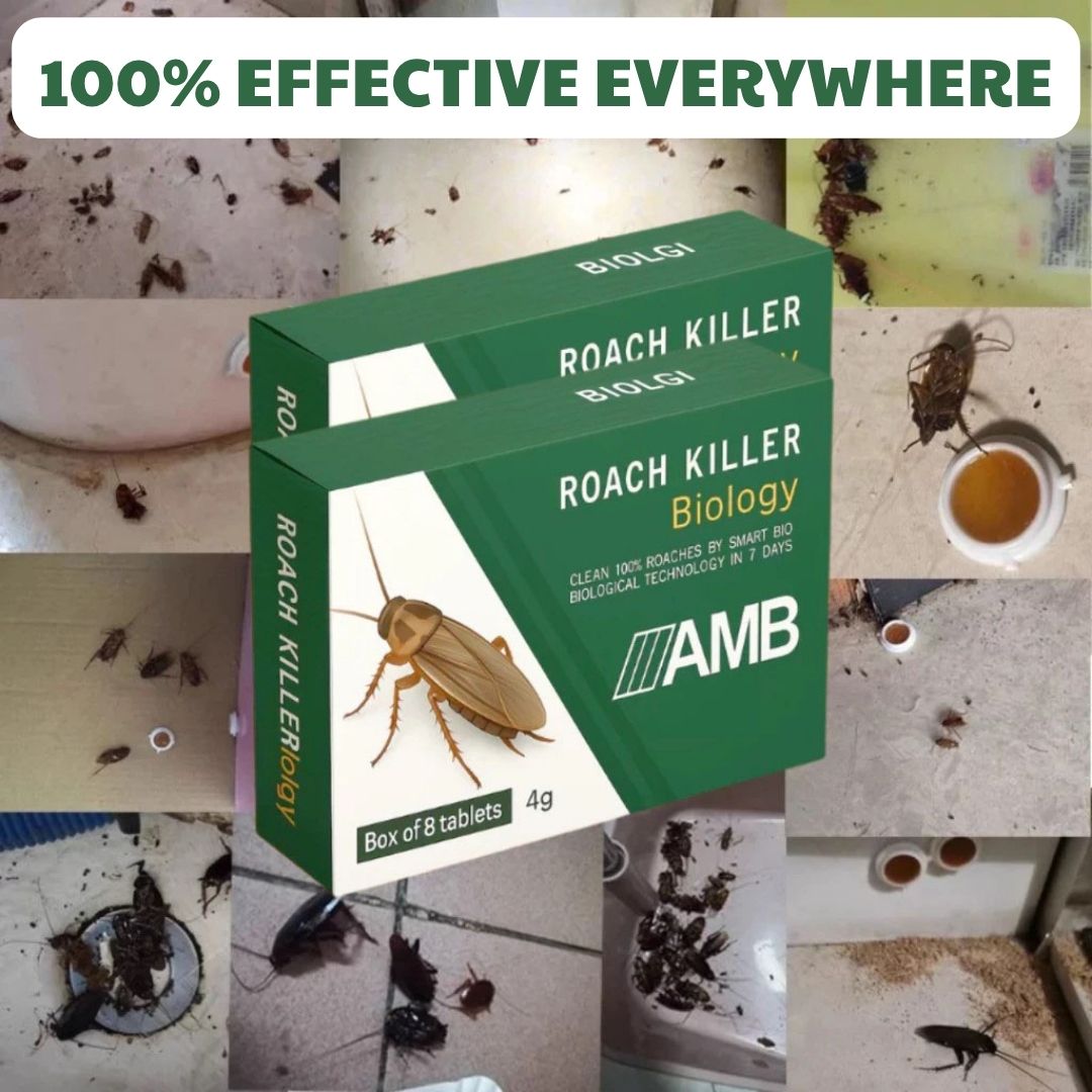 AMB Biological Cockroach Killer Gel For Home Long Lasting Effect Fast ...