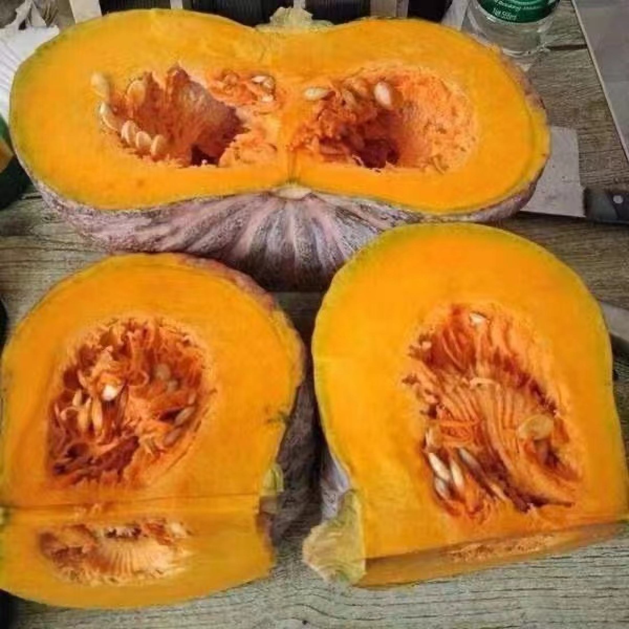 Squash Seeds - (20seeds) High Yielding SQUASH Vegetable Seeds | Shopee ...