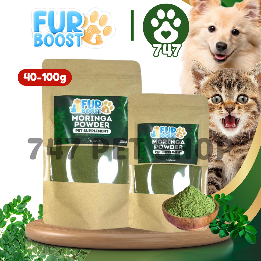 100g FurBoost Pet Moringa Supplement Powder Dog Cat All Life Stages ...