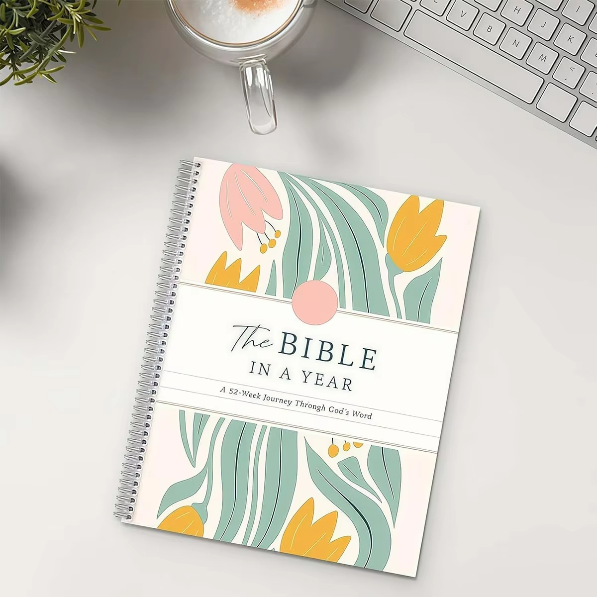 (A5) The Bible in A Year: A 52-Week Study Through Gods Word - Spiral ...