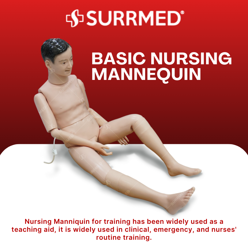 SURRMED Basic Nursing Mannequin | Full-Body Medical Training Model for ...