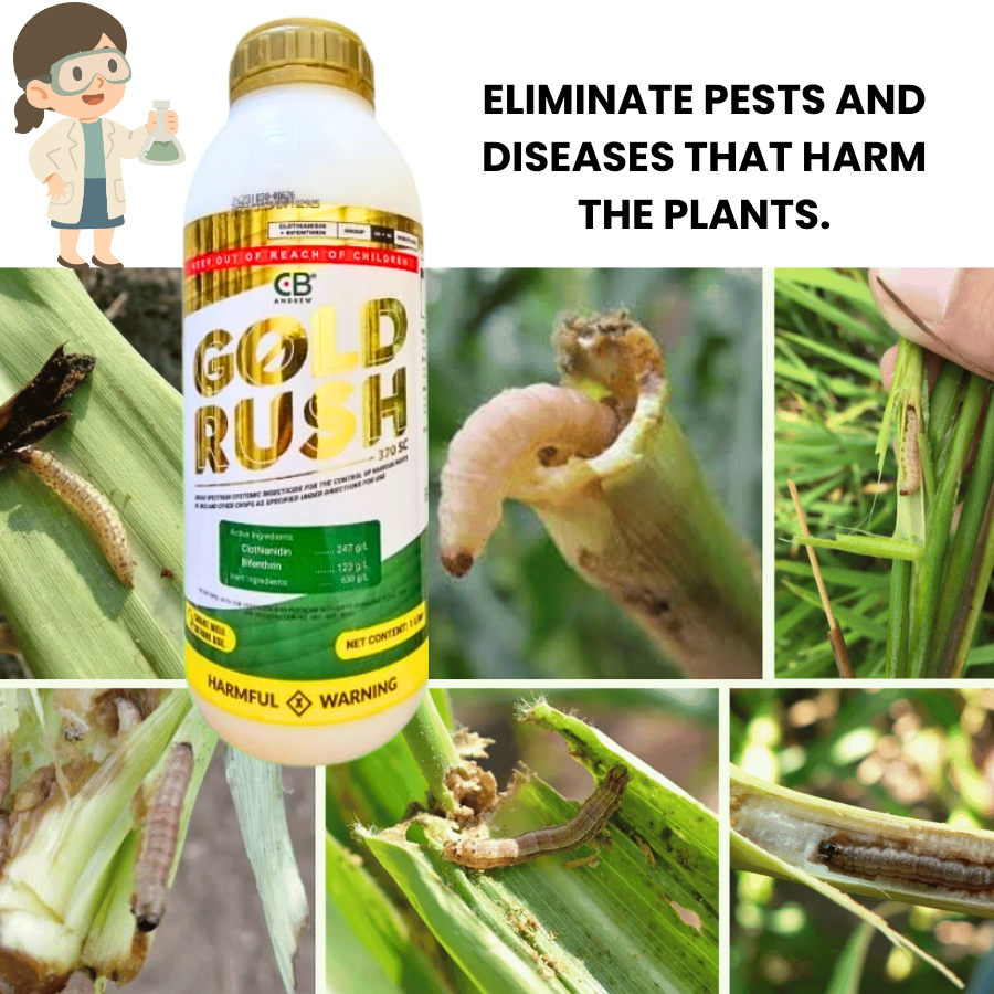 Gold Rush 370 SC Insecticide for Rice 500ml – Strong Control of ...
