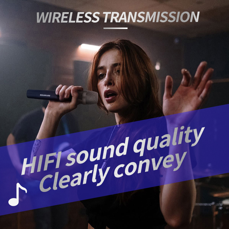 RAYHAYES Wireless Dual Microphone UHF Rechargeable Microphone for ...