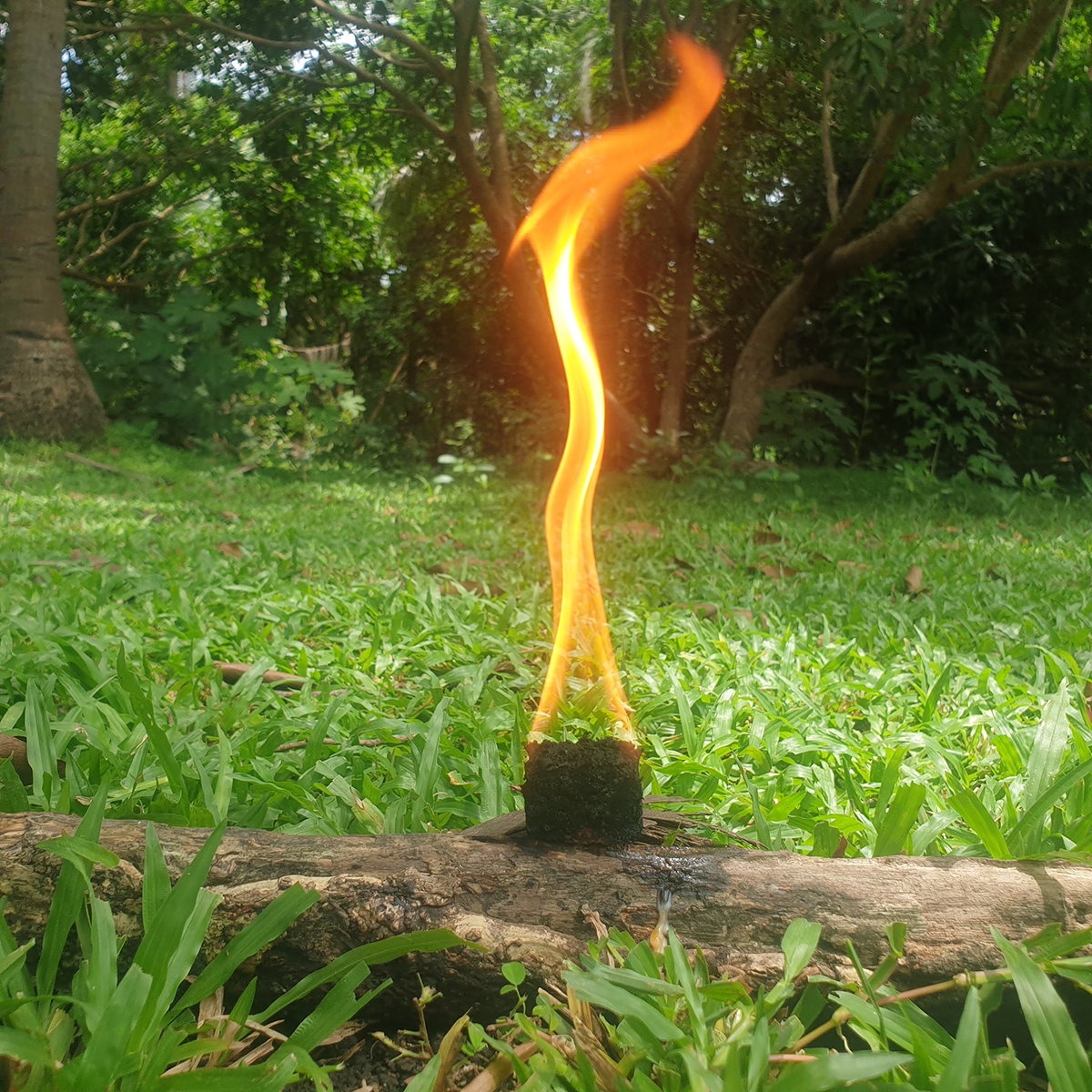 6-Packs SUPER ULING Charcoal Briquettes Cocoshell Smokeless with ...