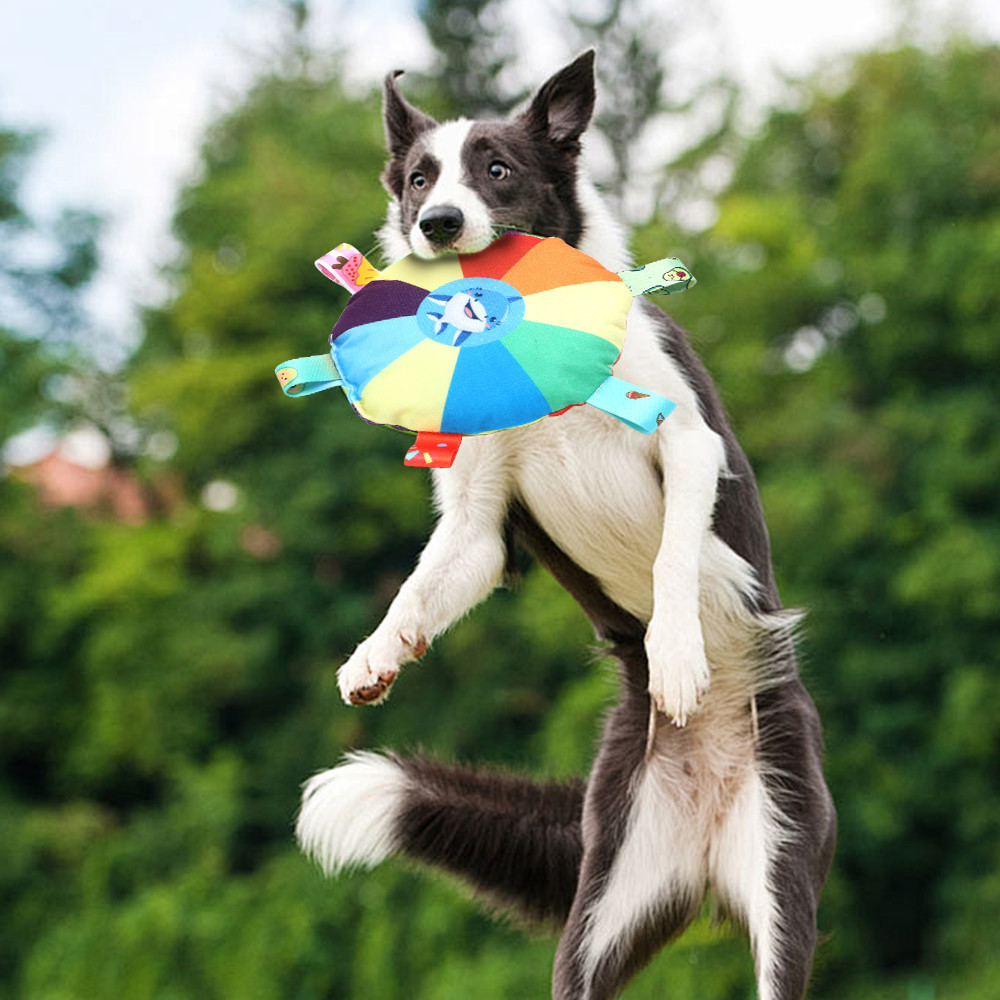 Dog Frisbee Toy Plush Sound Interactive Puppy Frisbee Teeth Grinding ...
