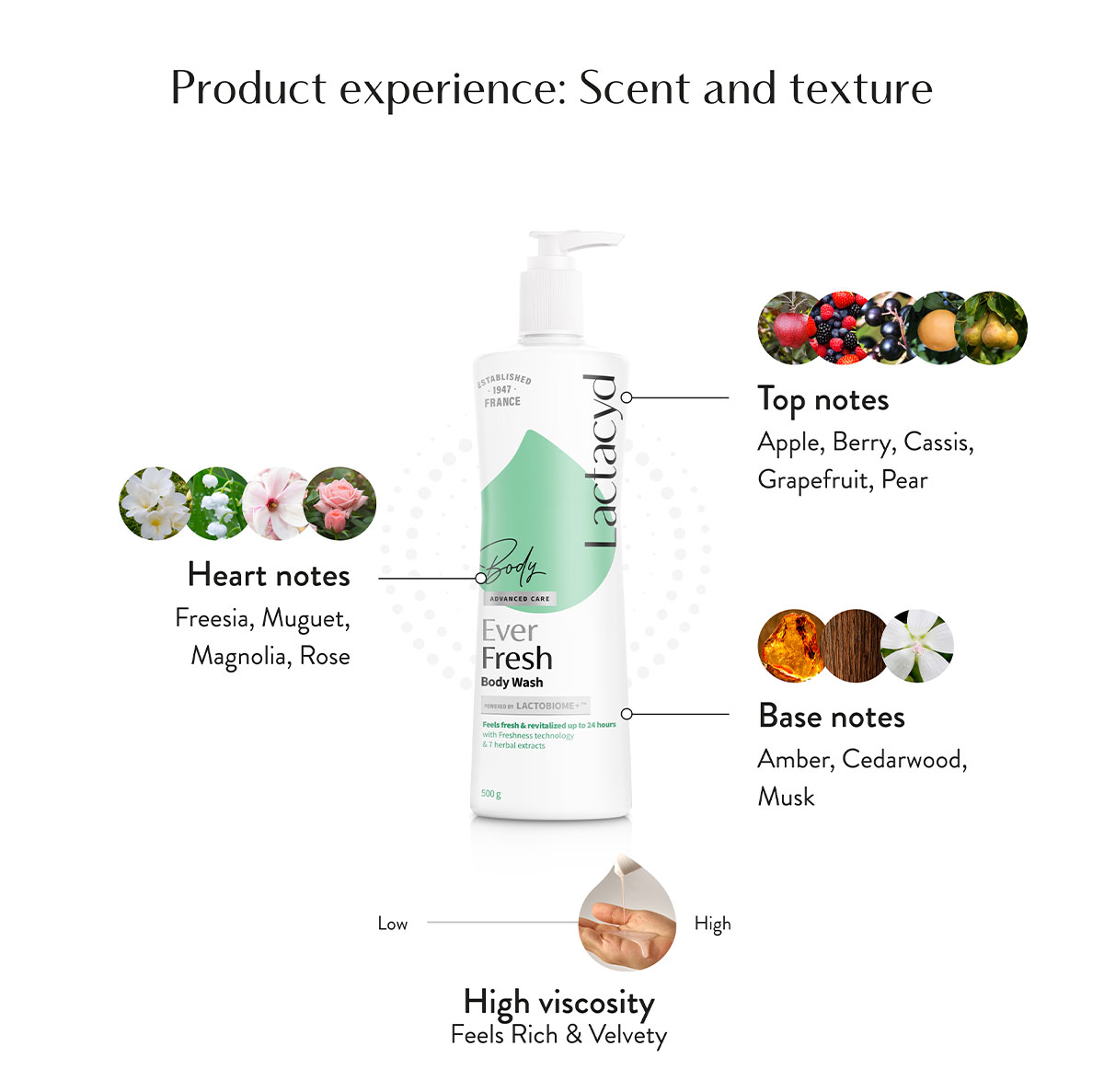 Lactacyd Ever Fresh Body Wash 500mL x2 + Healthy Bright Body Wash 500mL ...
