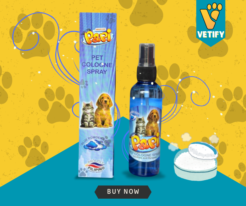 Papi Pet Cologne Spray (Blue Powder and Lavender & Brazilian Orange ...