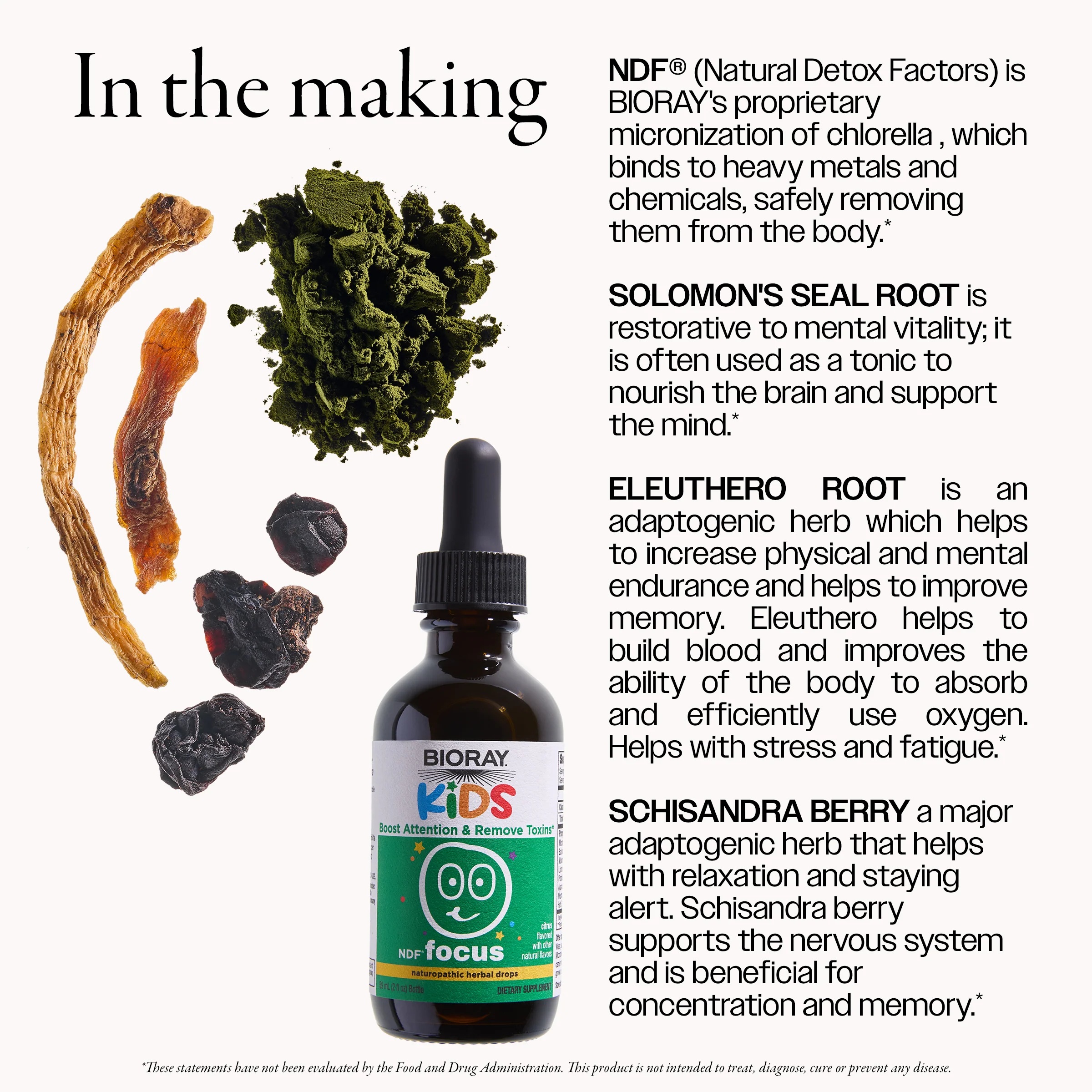 Blessed Beauty | Bioray, Kids, NDF ( Digestive and Immune Support ) | Shopee Philippines