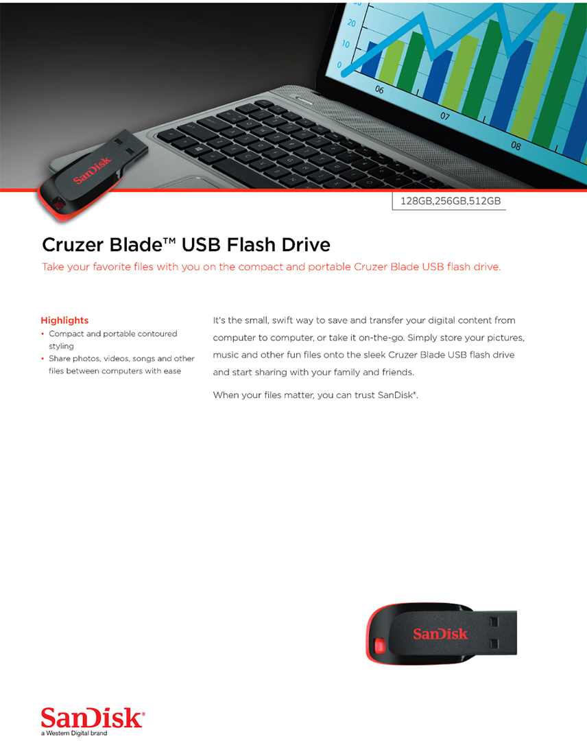 Sandisk Cruzer Blade 128GB 256GB 512GB USB 2.0 Flash Drive e9 | Shopee ...