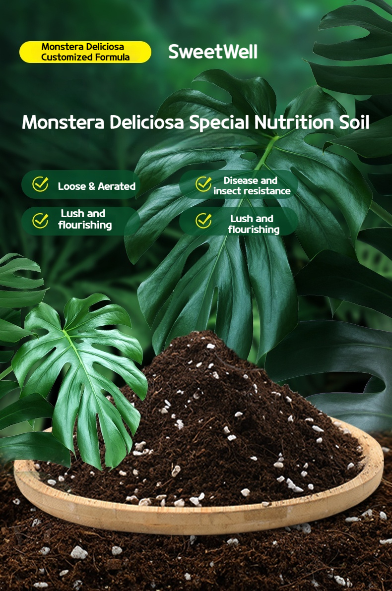 5KG Premium Monstera adansonii Soil Organic Nutrient Loam Soils Complete For Garden Plants To ...