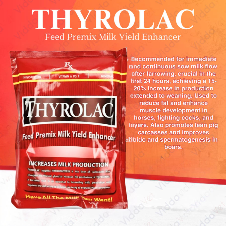 [Best choice] Thyrolac 500g Feed Premix Milk Enhancer for pigs Animal ...
