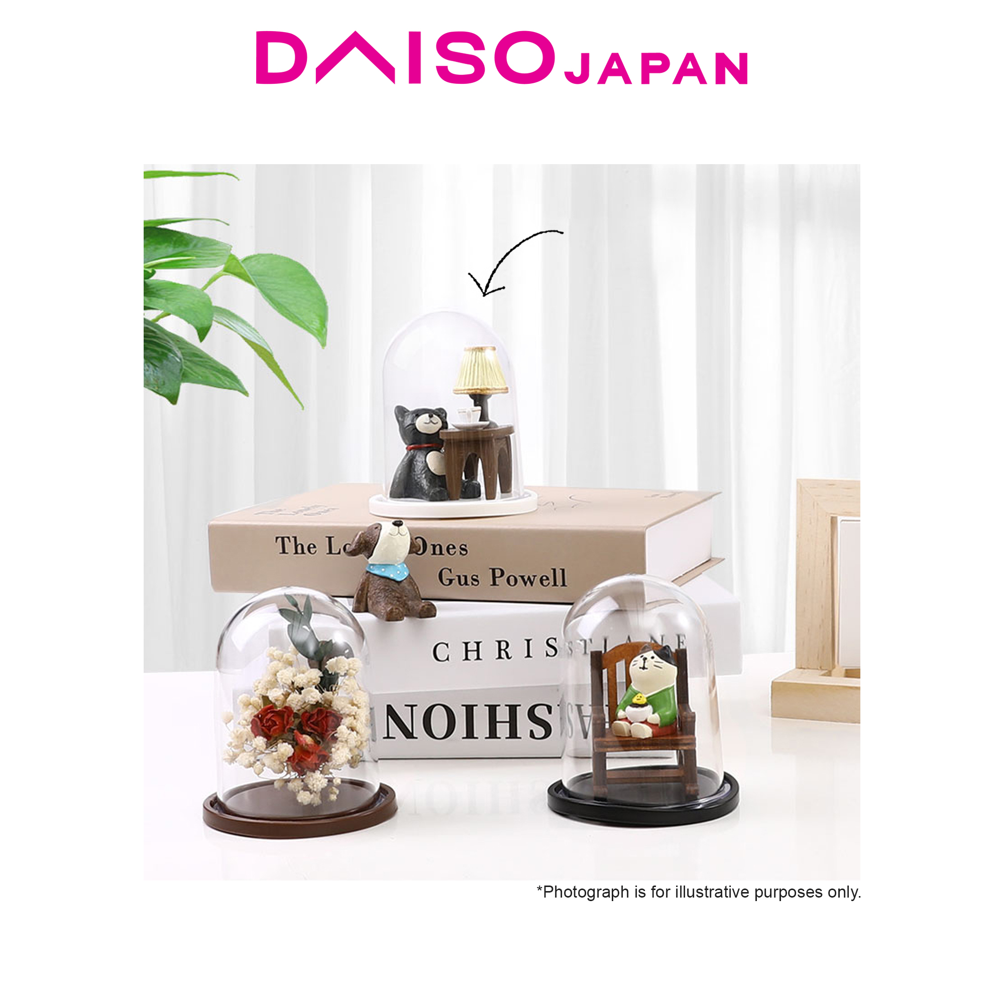 Daiso Display Cylinder Dome | Shopee Philippines