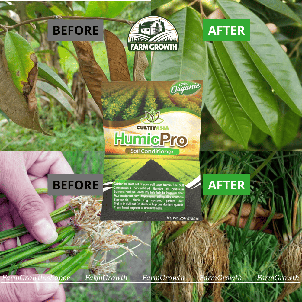 [Top 1 Soil Conditioner] HumicPro 250g - Organic NPK Fertilizer for ...